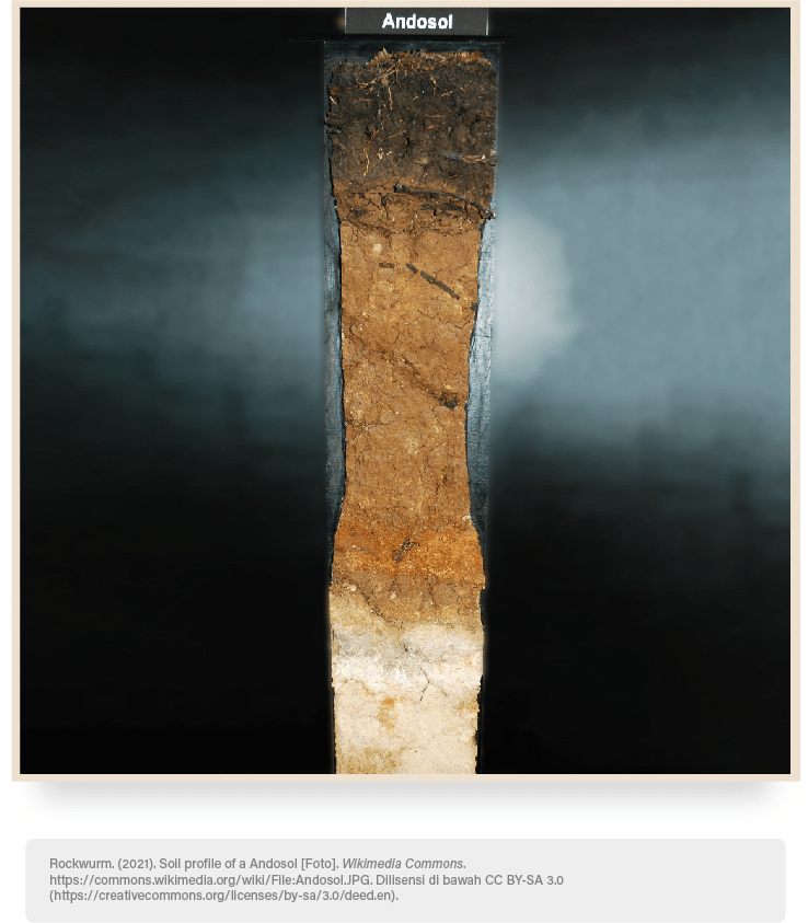 Jenis tanah yg terbentuk didaerah vulkanik dan mem...