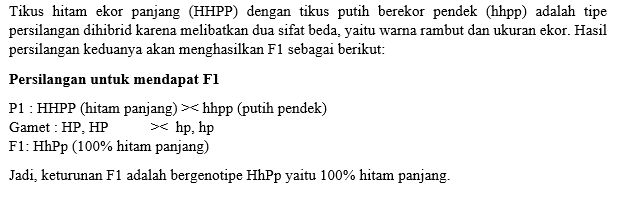 Jika tikus hitam berekor panjang (HHPP) disilangka...