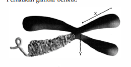 Perhatikan gambar berikut. Bagian yang ditunjukka...