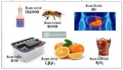 Perhatikan beberapa zat asam yang ada dalam kehidu...