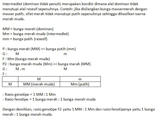 Persilangan antara tanaman mirabilis jalapa berbun... Persilangan antara tanaman mirabilis jalapa berbun...