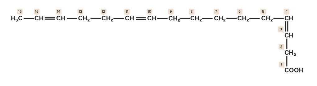 ch3ch=ch(ch2)2ch=ch(ch2)5ch=chch2cooh tuliskan nam...