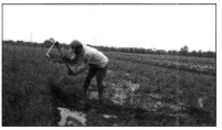 Teknik bersawah seperti ditunjukkan pada gambar di...