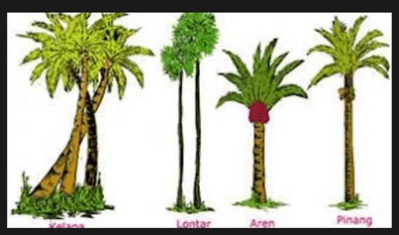 Gambar disamping menunjukkan adanya seluruh varias...