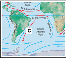Huruf C pada peta arus laut berikut menjukkan arus...
