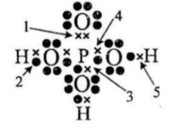 Perhatikan rumus lewis senyawa berikut: Dari gamb...