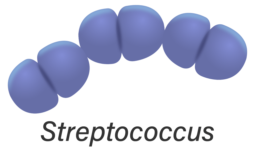 Jelaskan nama bentuk koloni berikut dan gambarkan ...