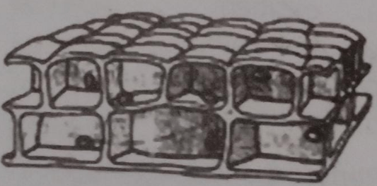 Perhatikan gambar berikut. Gambar tersebut merupak...