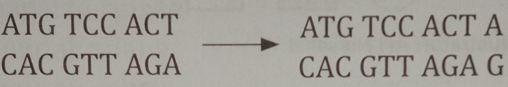 perhatikan susunan basa nitrogen berikut! perubaha...