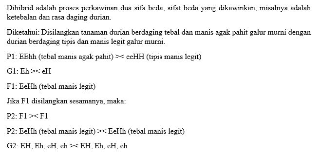 Disi langkan tanaman durian berdaging tebal dan ma...