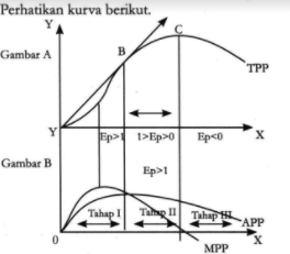 Berdasarkan kurva, pada tahap II pelaksanaan produ...