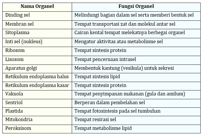 nama organel sel dan fungsinya?...
