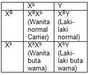 Perhatikan peta silsilah penyakit buta warna berik...