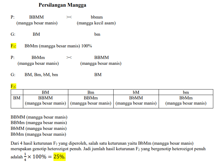 Persilangan Antara Tanaman Mangga Buah Besar Dan R