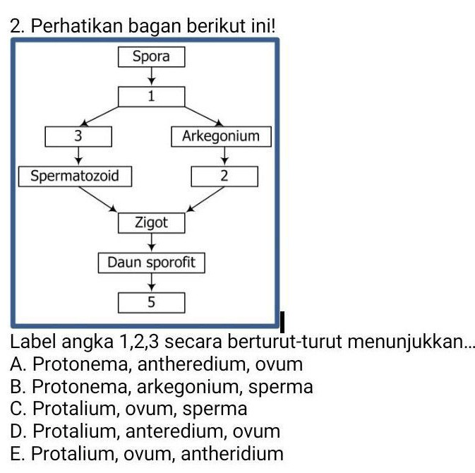 Perhatikan bagan berikut ini! Label angka 1,2,3 se...