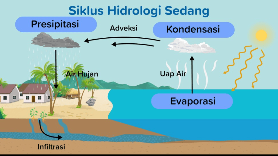 Penyebab terjadinya perbedaan jenis siklus air...