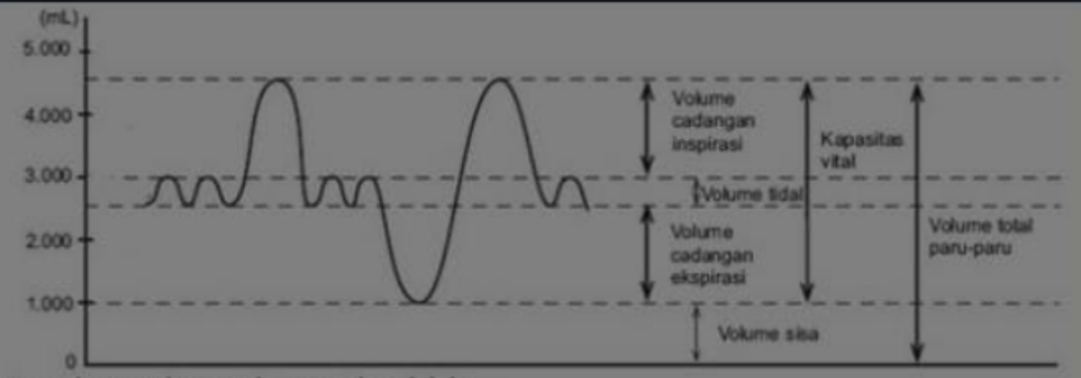 Perhatikan grafik kapasitas 2 poin paru -paru! Ban...