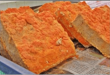 Organisme yang berperan dalam fermentasi makanan p...