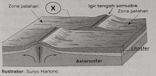 perhatikan gerak lempeng pada ilustrasi berikut!