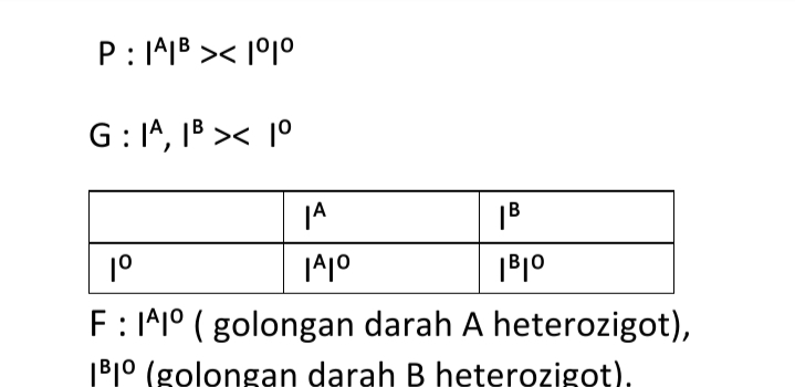 Jika orang bergolongan darah AB dan orang bergolon...