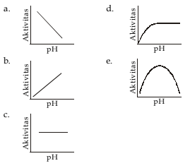 Kadar pH sangat berpengaruh pada aktivitas enzim.