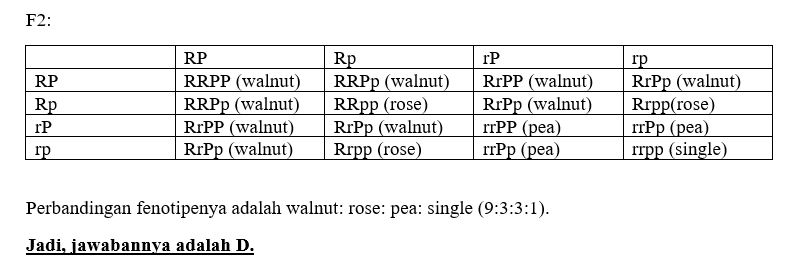 Interaksi 2 gen terjadi pada jengger. Gen R mengat...