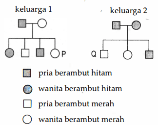 Diagram di bawah menunjukkan penurunan sifat rambu...
