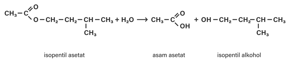 Aroma buah-buahan terbuat dari senyawa ester. Isop...