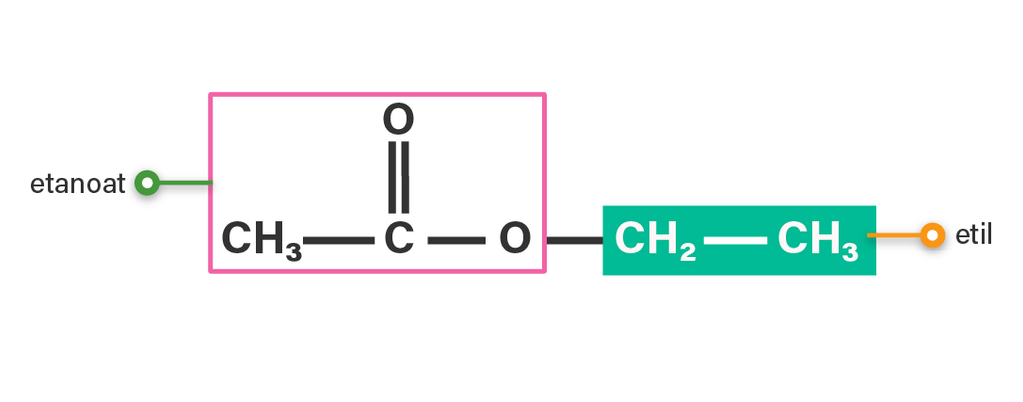 Tunjukkan dan tuliskan nama gugus fungsi yang terd...
