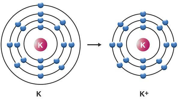 Kestabilan dari atom 19K dan gambar kulit nya...