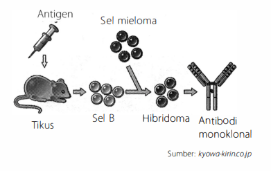 Gambar tersebut menunjukkan proses pembuatan .......