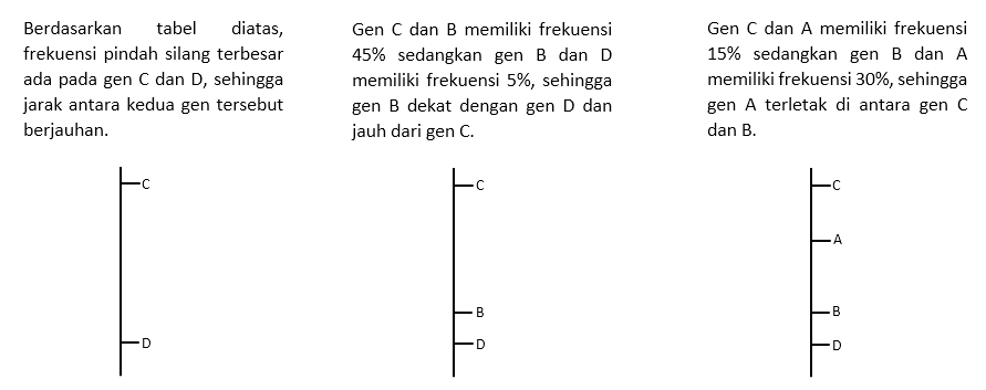 Lokasi relatif empat gen pada suatu kromosom dapat...