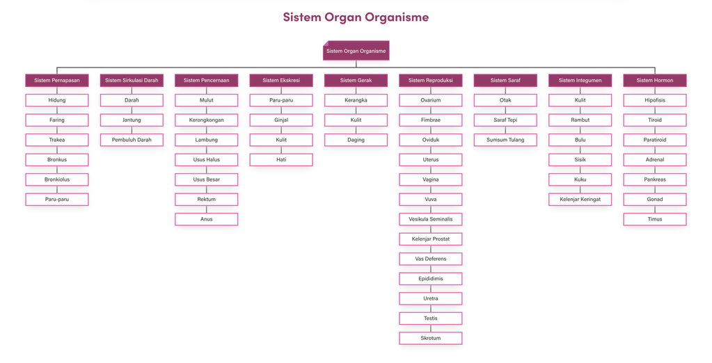 Gambarkan secara bagan organ-organ yang membentuk ...