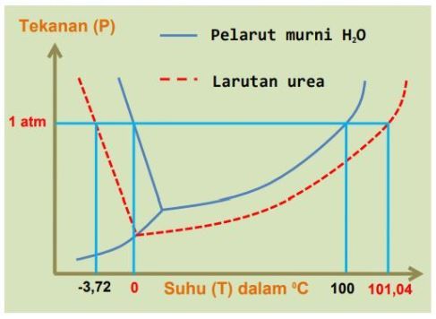 Perhatikan diagram fasa larutan urea, CO(NH), (mas...