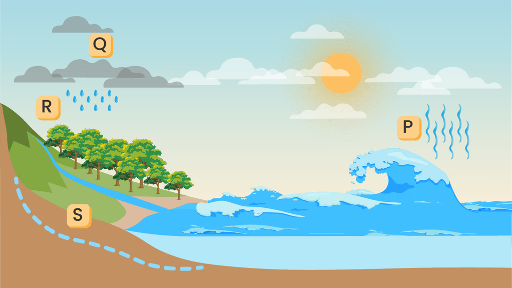 apa itu siklus hujan?...