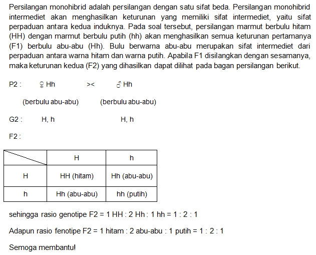 Persilangan antara marmut bulu hitam (H) disilangk...