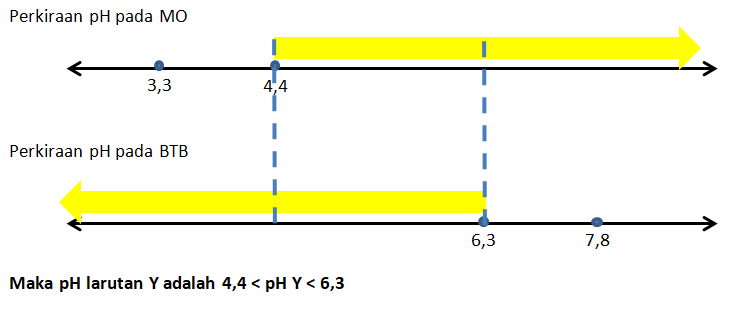 perkiraan PH larutan Y jika memberikan warna kunin...