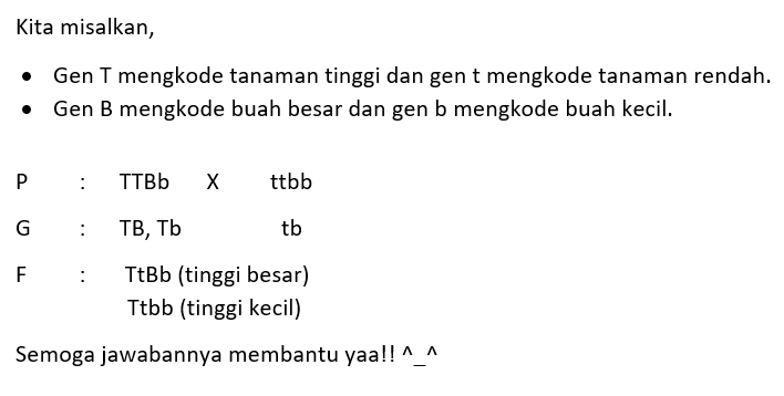 Berapa macam genotipe dan fenotipe akan dihasilkan...