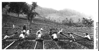 Bangsa Indonesia memiliki kondisi alam yang subur....