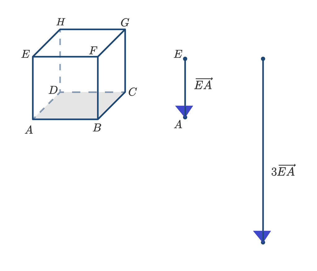 Berdasarkan bangun ruang dibawah ini, gambarlah ru...