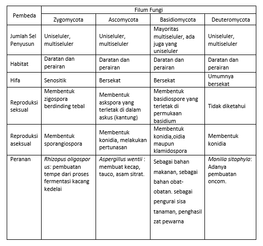 Perbedaan Ascomycota Dan Basidiomycota Perbedaan