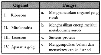 Tabel berikut menunjukkan organel dan fungsi organ...