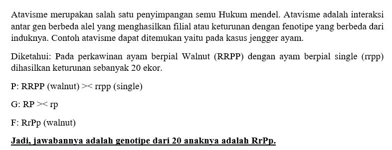 Pada perkawinan ayam berpial Walnut (RRPP) dengan ...
