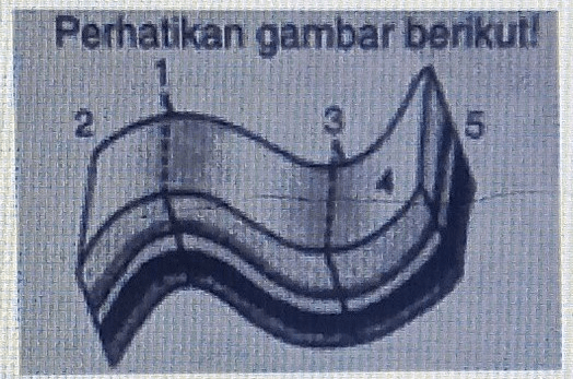 Bagian yang ditunjukkan nomor 1 pada gambar adalah...