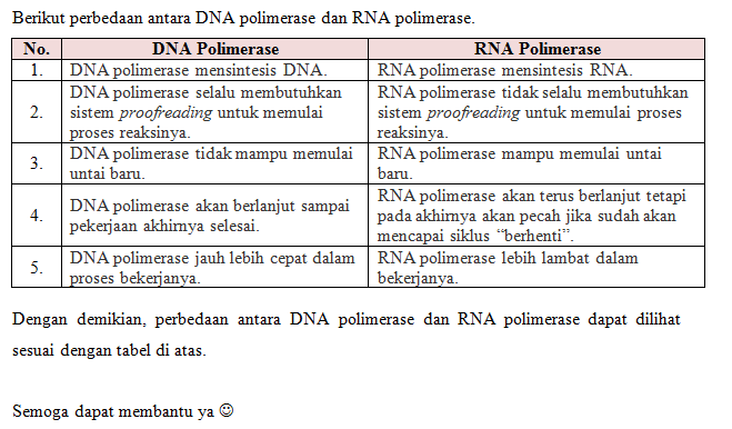 Beda DNA polimerase dan RNA polimerase...