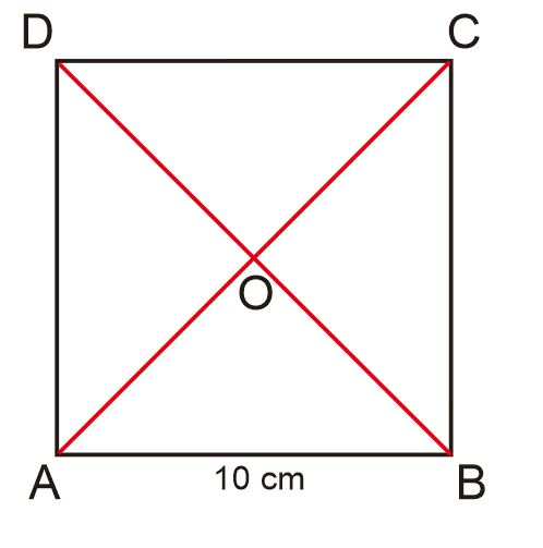 persegi ABCD memiliki diagonal AC dan BD yang berp...