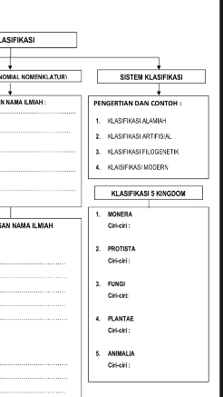 Pengertian dan Contoh klasifikasi alamiah...