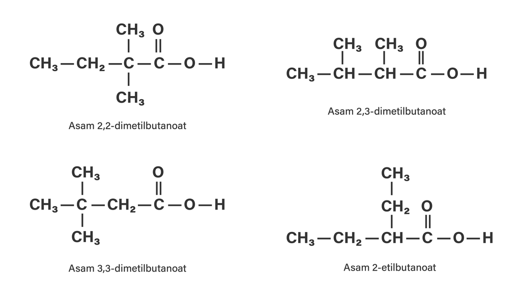 tuliskan isomer isomer dari senyawa C6 h12 O2 yang...