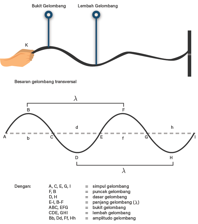 apa yang maksud dengan amplitudo gelombang...