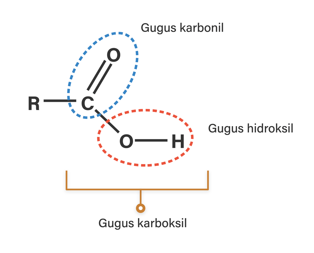 Apa Perbedaan Gugus Fungsi Karbonil Dengan Karboks
